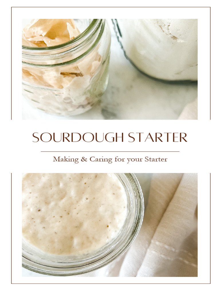 Sourdough Starter Freebie | PDF | Breads | Sourdough