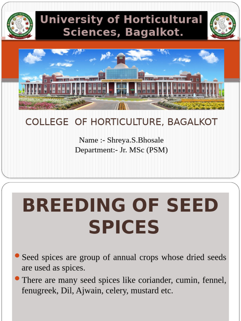 Seed Spices Breeding | PDF | Fennel | Coriander