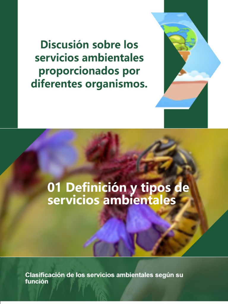 Servicios Ambientales de Diversos Organismos. Exposicion 3F | PDF