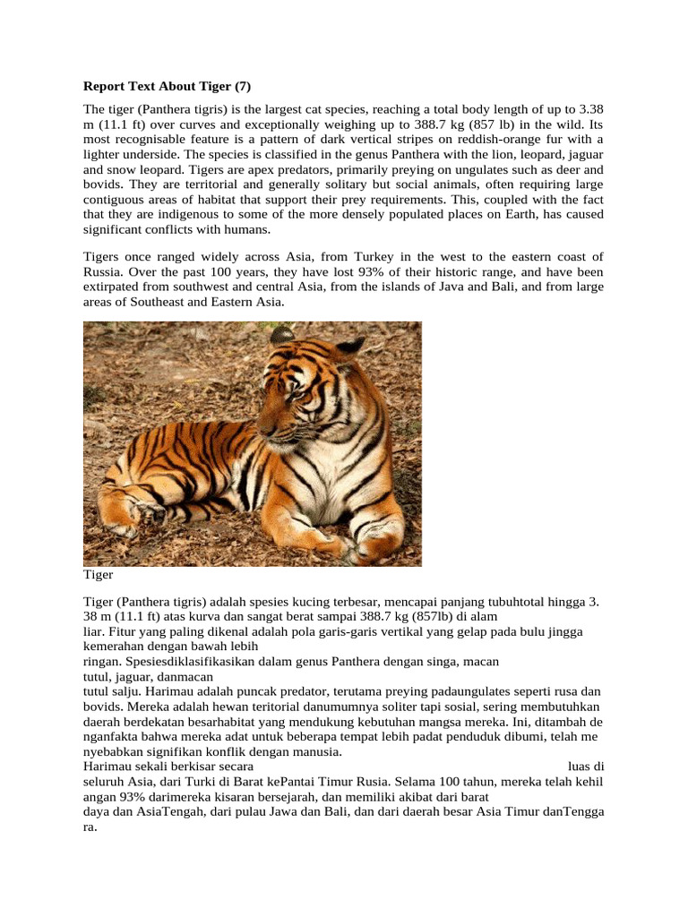 Tiger | PDF | Tiger | Mango