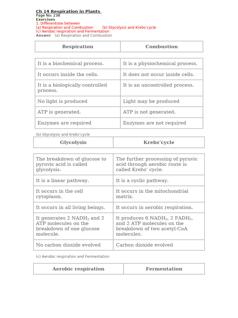 Plant Respiration: Key Processes Explained | PDF | Cellular Respiration ...