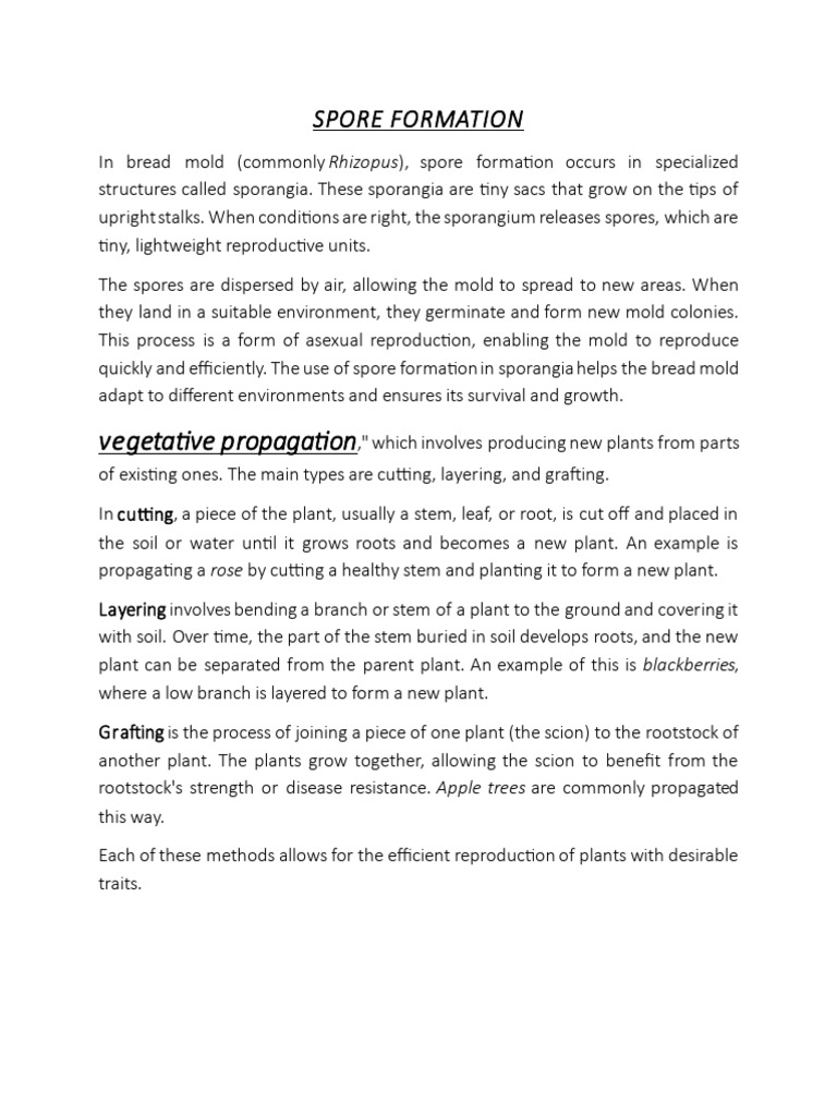 Spore Formation | PDF | Science & Mathematics