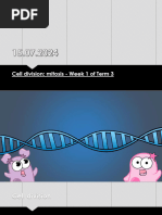 Grade 10 Mitosis Notes | PDF | Mitosis | Meiosis