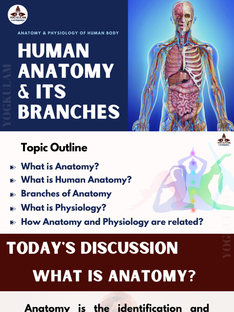Human Anatomy & Its Branches | PDF | Anatomy | Histology