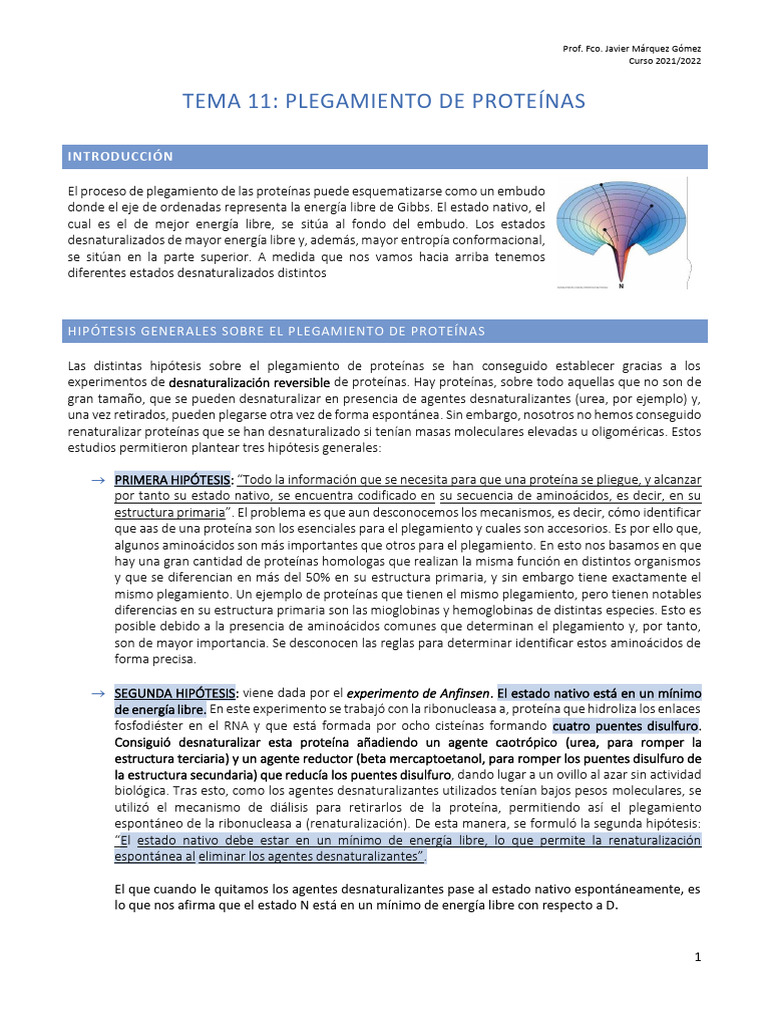 Wuolah Free Tema 11 Gulag Free | PDF | Chaperona (Proteína) | Plegamiento de proteínas