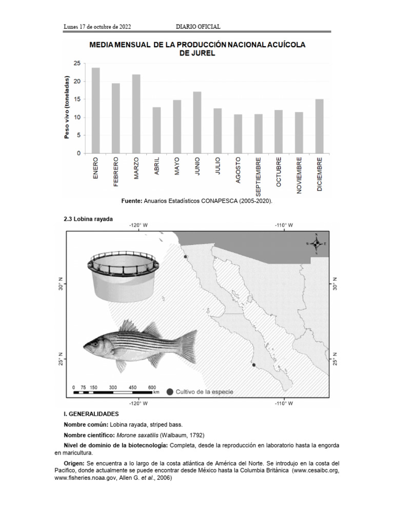 Cultivo y Biotecnología de Lobina Rayada | PDF | Pescado | México