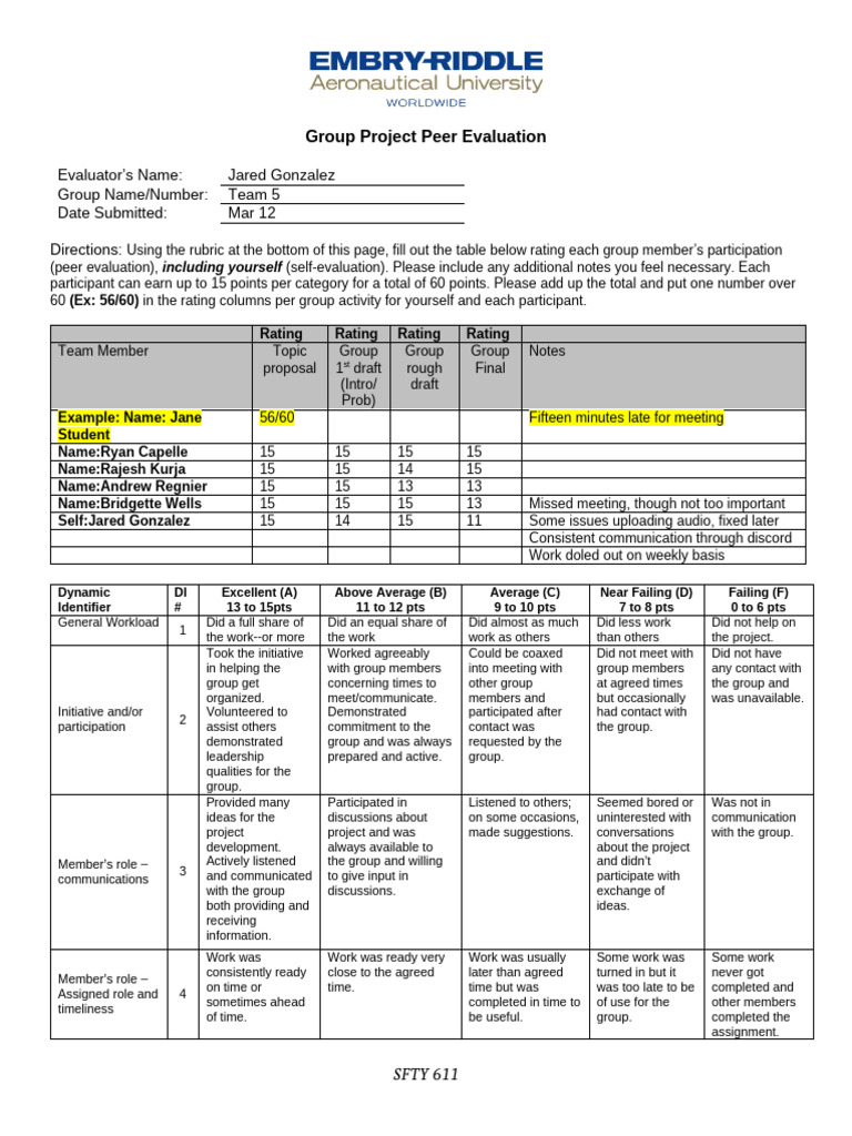 UNSY 501 Group Project Peer Evaluation | PDF