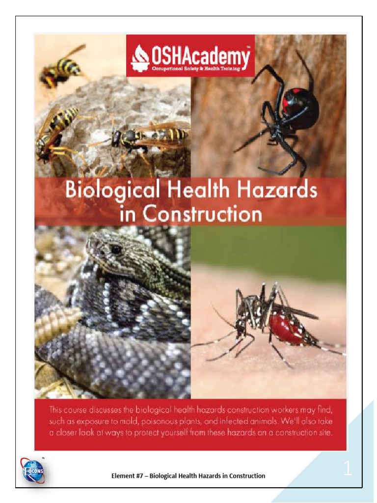 Construction Biohazard Safety Guide | PDF | Mold | Allergen