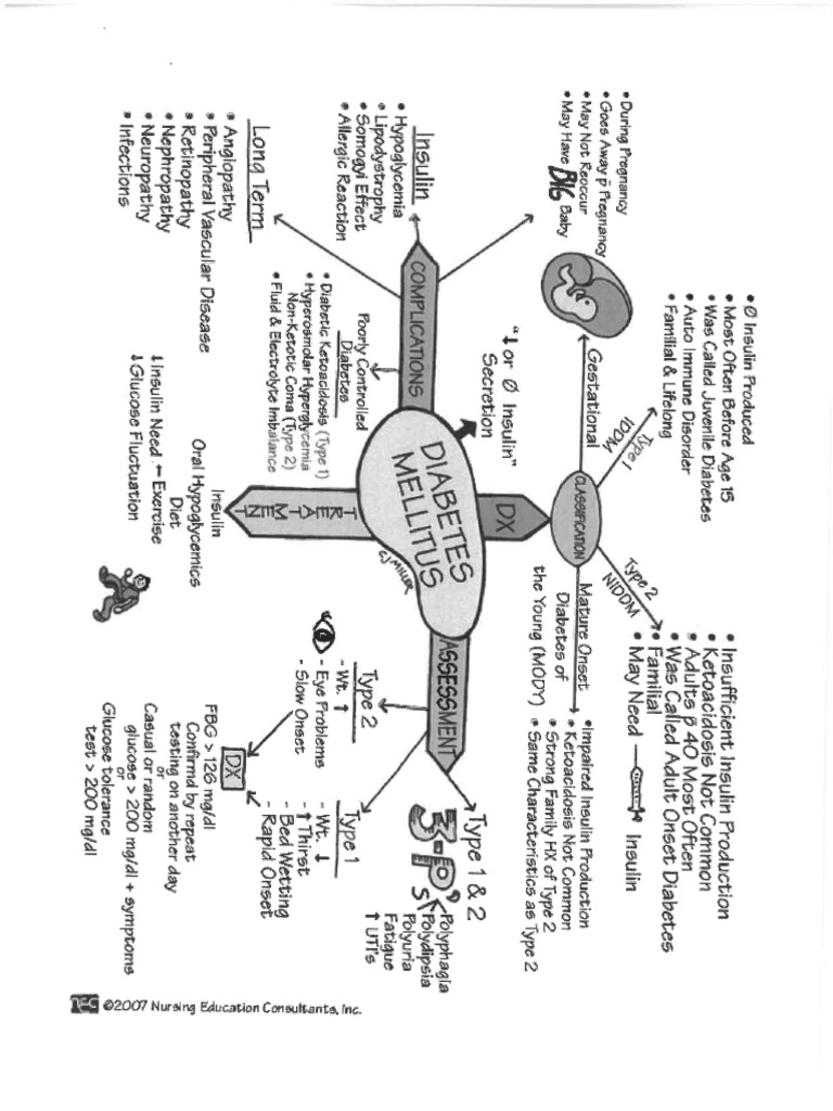 Diabetes Info Sheet | PDF