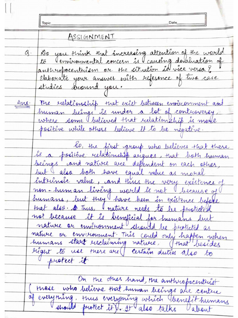 Understanding International | PDF