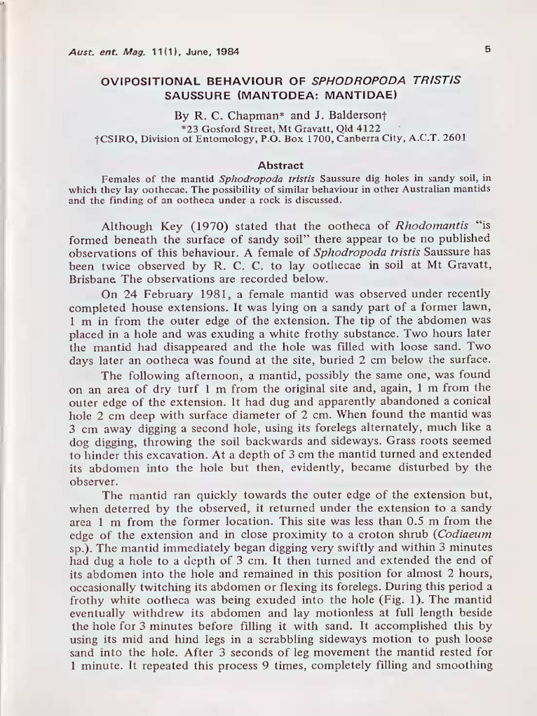 Biostor 273682 | PDF | Insects