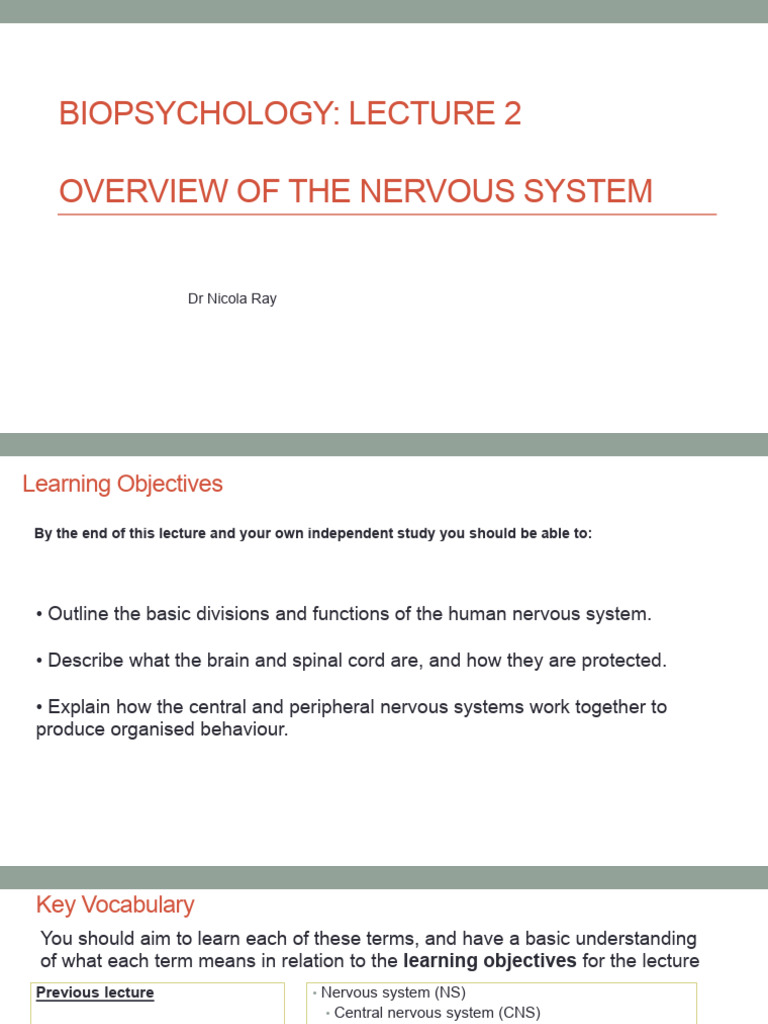 Lec.2 Overview of The Nervous System | PDF | Central Nervous System | Nervous System