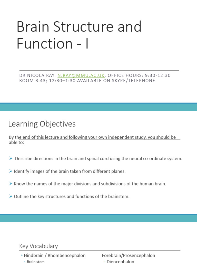 Brain Structure and Function Overview | PDF | Cerebrum | Central ...