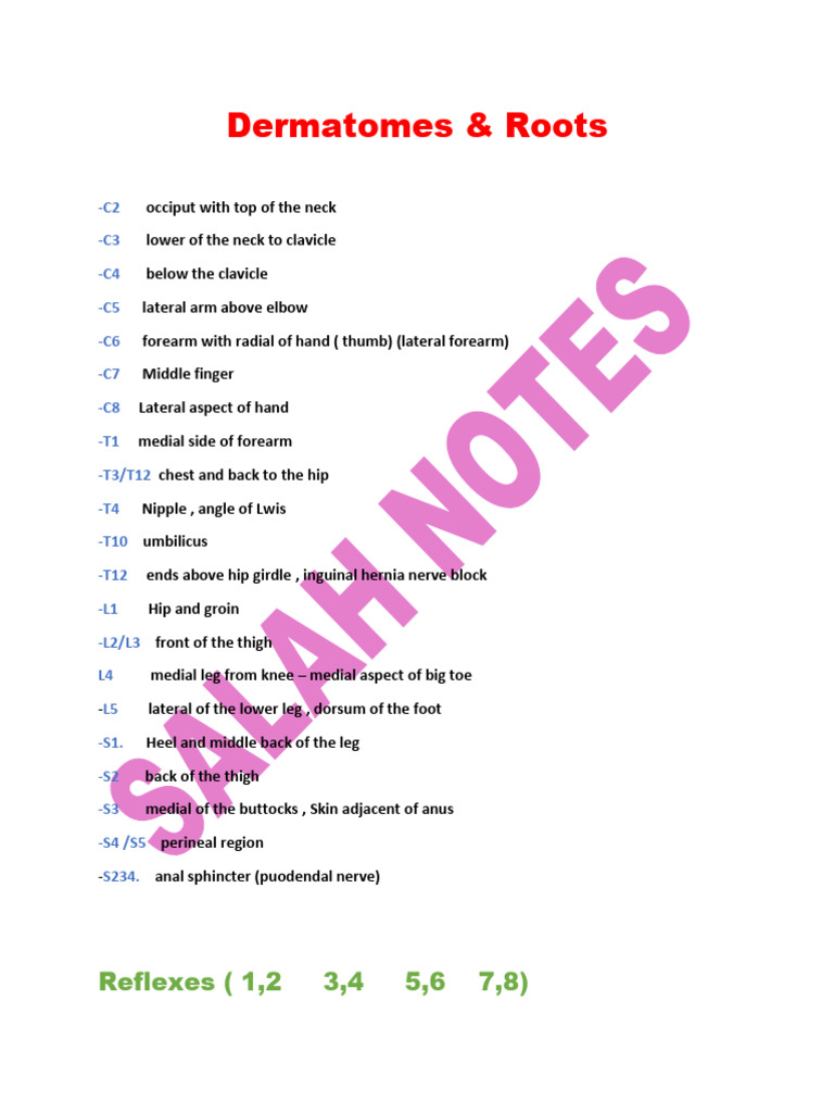 Dermatomes and Roots | PDF | Human Leg | Anatomical Terms Of Motion