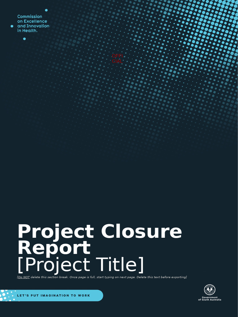 PLC2 MASTERFILE - EXTERNAL TEMPLATE - CEIH Project Closure Report | PDF | Evaluation | Governance