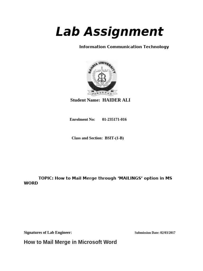 Haider Ali Lab Assignment of Ict | PDF | Microsoft Word | Mail