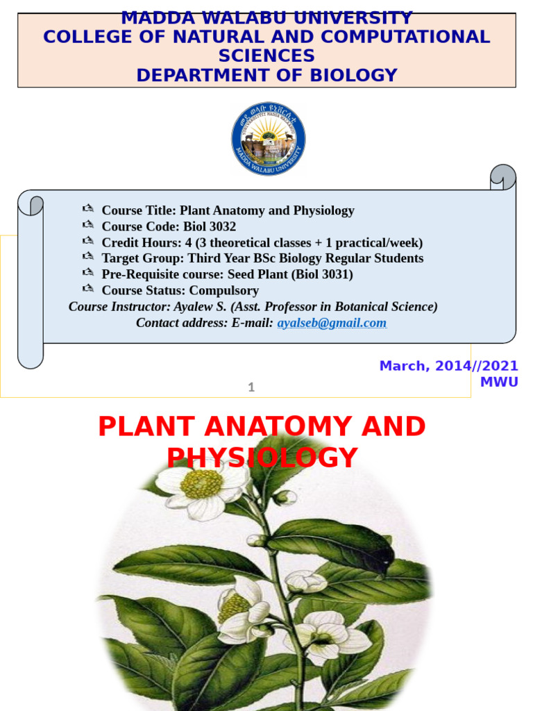 Plant Anatomy and Physiology Course Overview | PDF | Plant Stem | Leaf