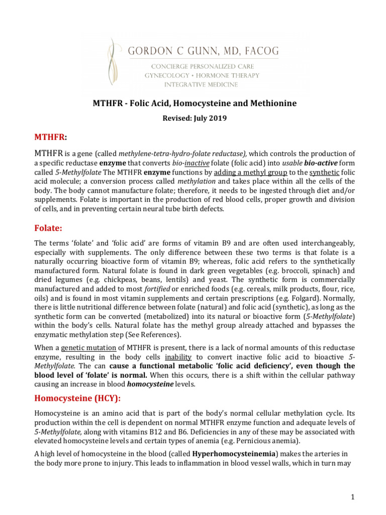 MTHFR Folic Acid Homocysteine Methionine | PDF | Diseases And Disorders