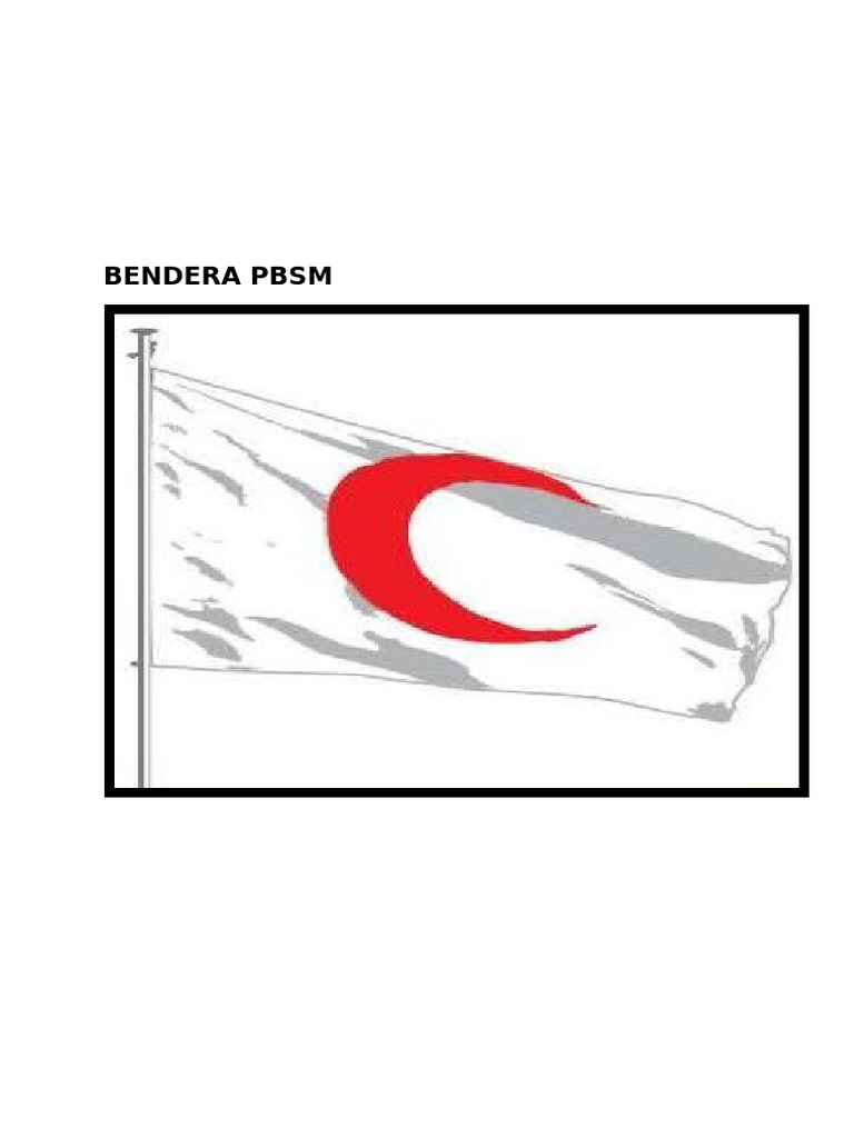 3e. BENDERA PBSM | PDF
