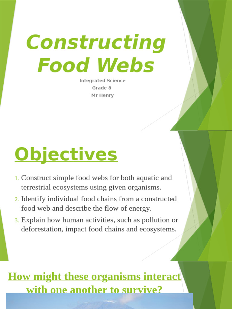 Constructing Food Webs | PDF | Science & Mathematics | Technology & Engineering