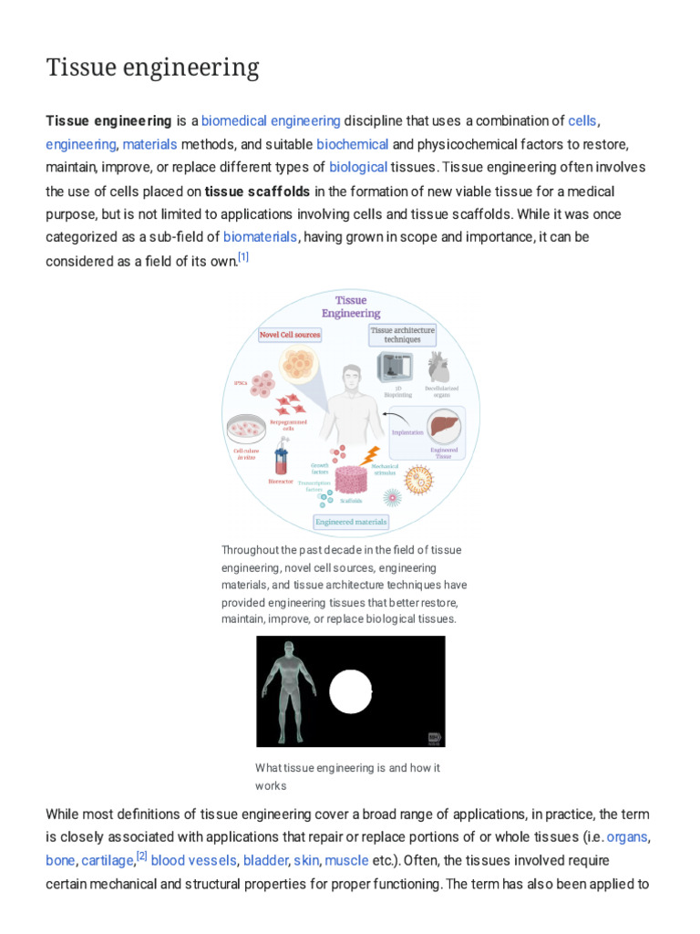 Tissue Engineering - Wikipedia | PDF | Tissue Engineering | Cell Potency
