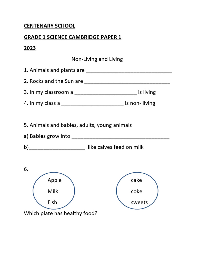 Year 1 Science | PDF | Home & Garden | Wellness
