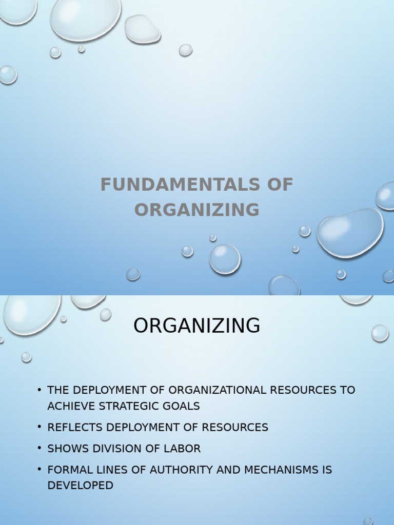 Organization Structure | PDF | Leadership | Economies