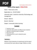 Grade 3 Pollution Project Guide | PDF