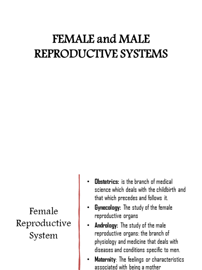 Female and Male Reproductive Systems | PDF | Uterus | Ovary