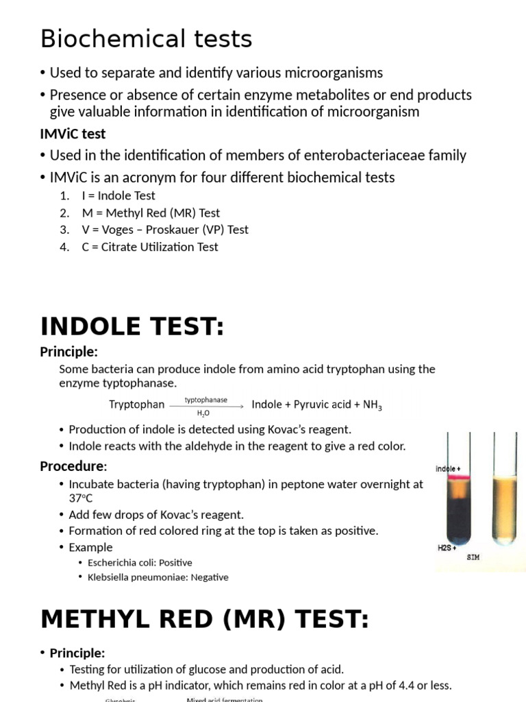 Biochemical Tests | PDF | Microbiology