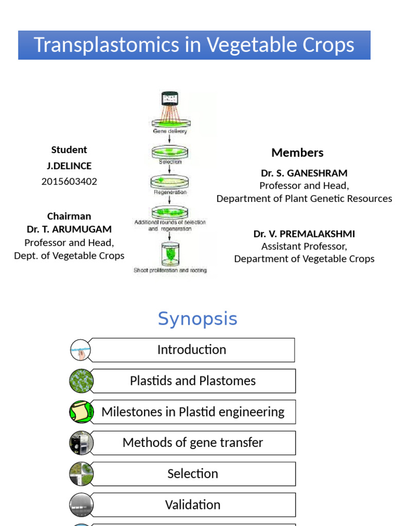 Transplastomics in Vegetable Crops | PDF
