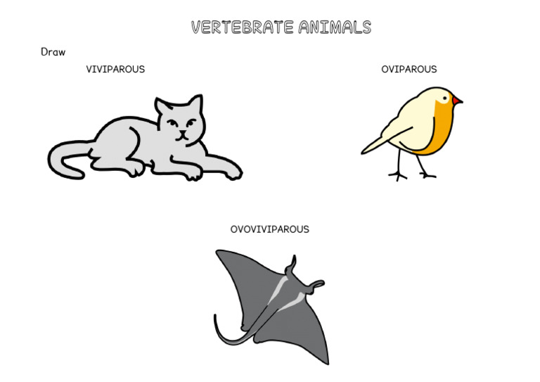 Draw Viviparous Oviparous Ovoviviparous | PDF