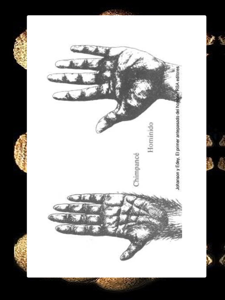 Prehistoria Tema 1 Parte 4 | PDF