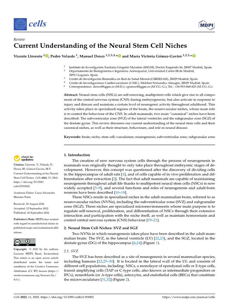 Current Understanding of The Neural Stem Cell Niches | PDF ...