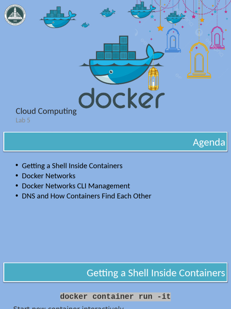 (CC - 23) Lab 5 | PDF | Shell (Computing) | Domain Name System