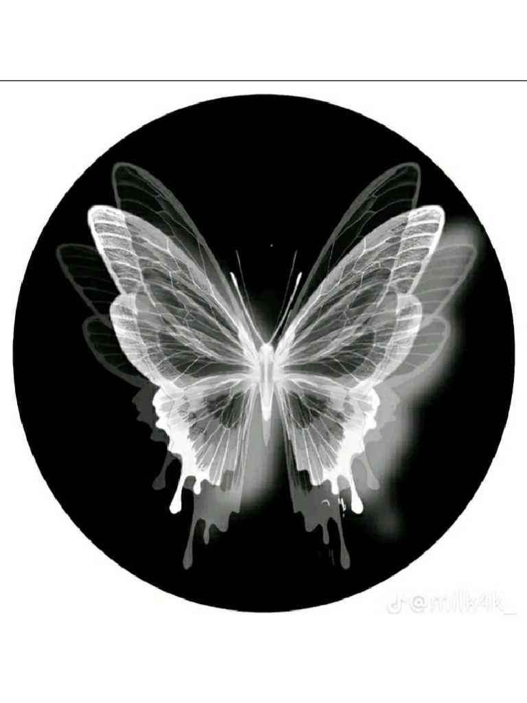 Document20241122 200743 | PDF