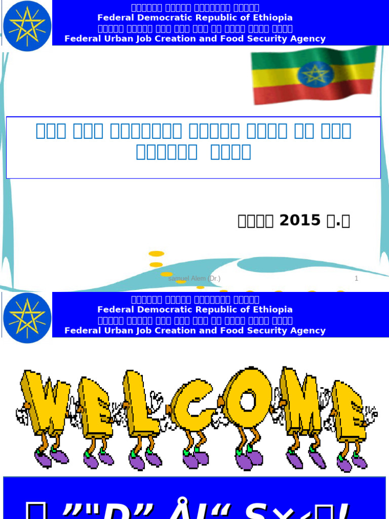 Busnes Plan Presentation Bahir Dar | PDF