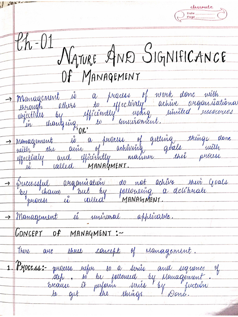 Business Studies Chapter 1 | PDF