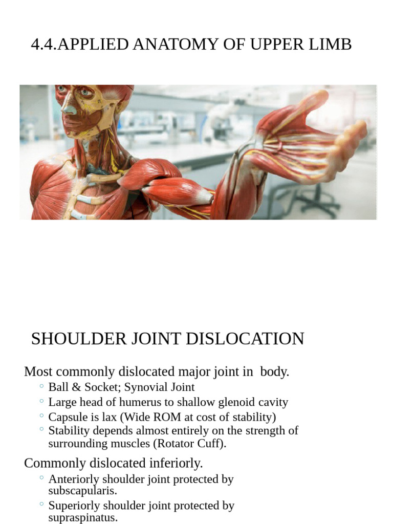 Upper Limb Applied Anatomy Overview | PDF | Shoulder | Elbow