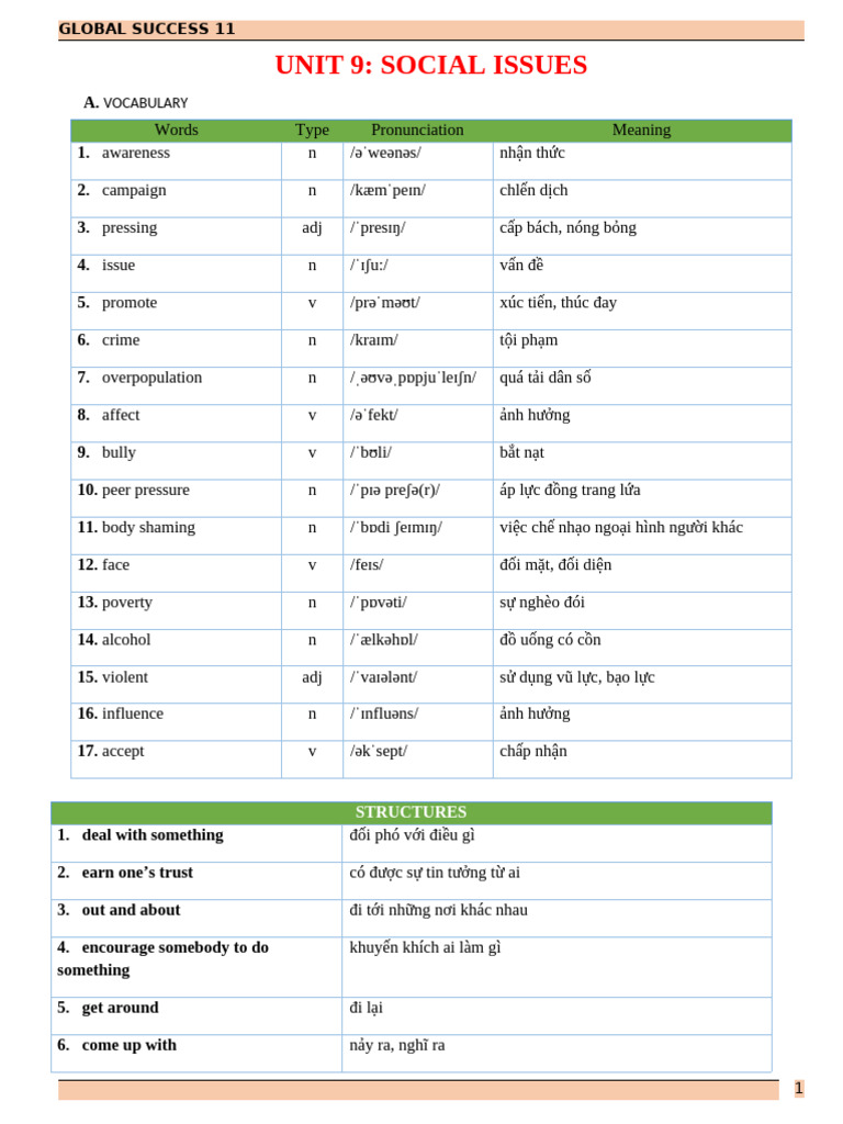Social Issues Vocabulary and Grammar Guide | PDF | Crimes | Crime ...