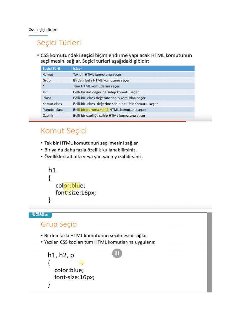 Css Seçiçi Türleri | PDF