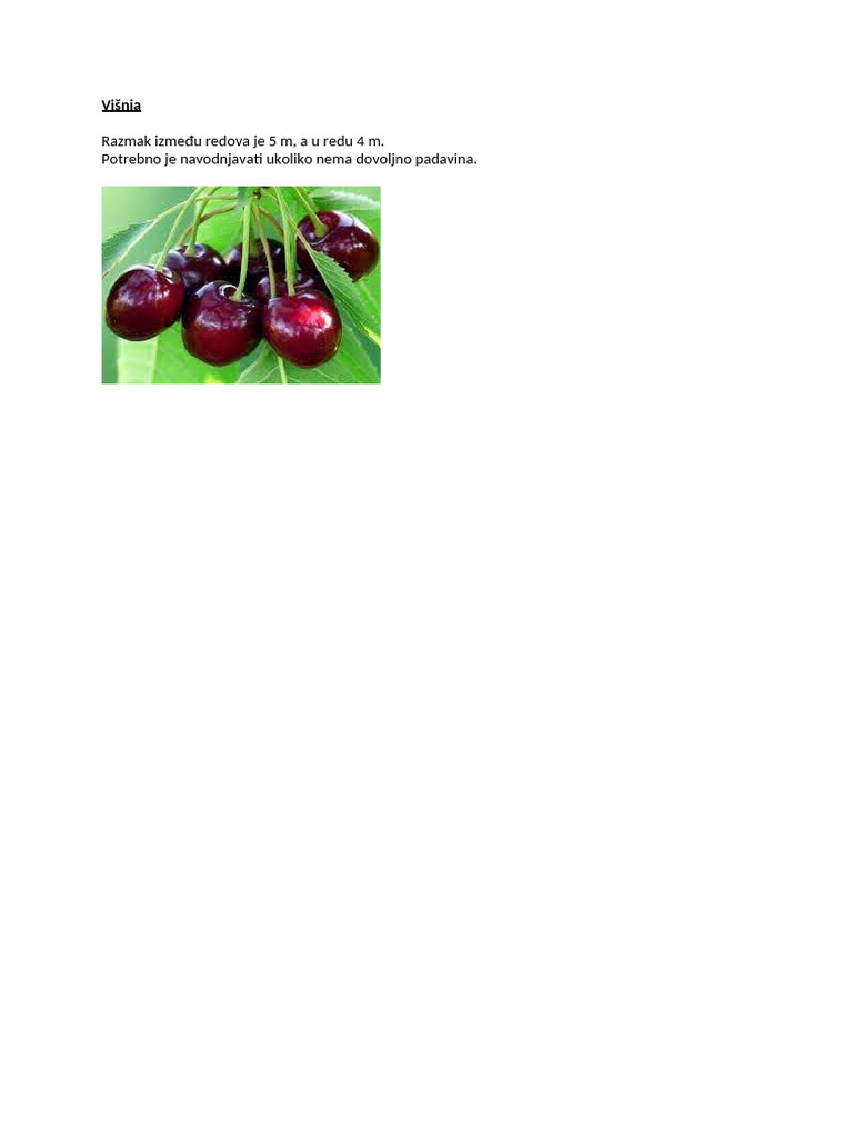 Visnja | PDF