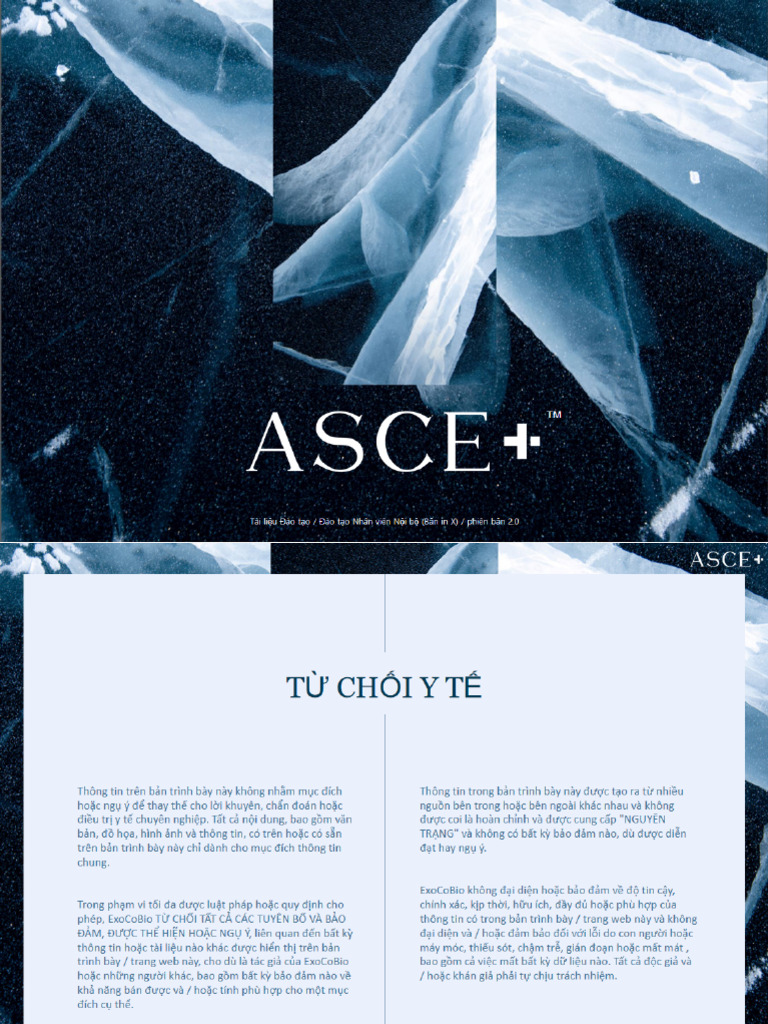 Asce+Srlv Vnese 2022 | PDF