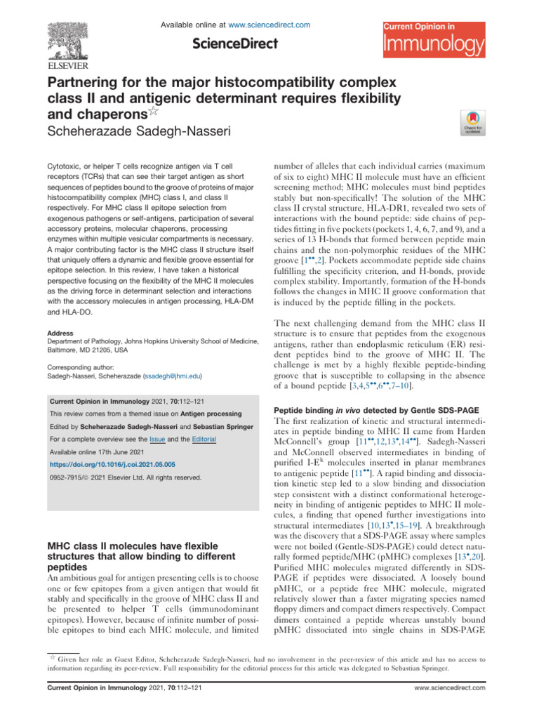 Partnering For The Major Histocompatibility Complex Class II and ...