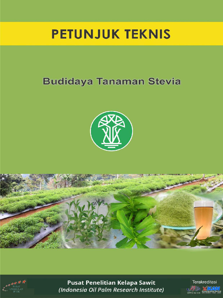 Budidaya Stevia | PDF | Griya & Taman