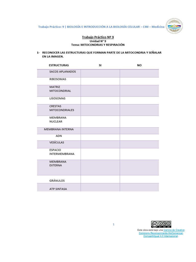 Cosas Random | PDF | Mitocondria | Respiración celular