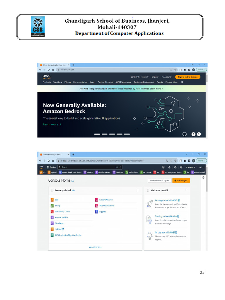 Cloud Computing Lab - Removed | PDF | Ip Address | Computer Network