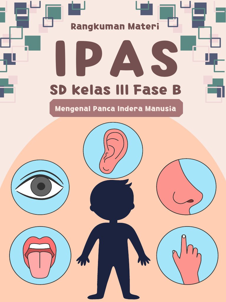 Rangkuman Materi IPAS Kelas 3 - Panca Indera | PDF