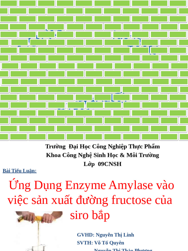 (123doc) Ung Dung Enzyme Amylase Trong San Xuat Hfcs | PDF