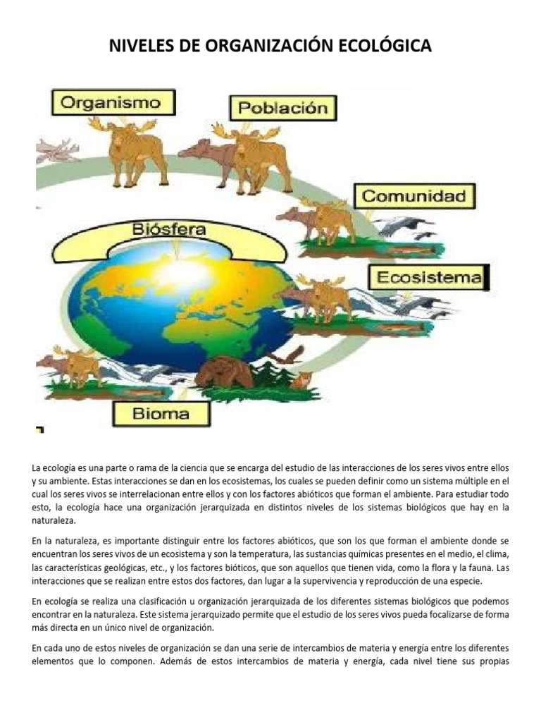 Biosfera Ecosistema Comunidad Población Organismo Ecología